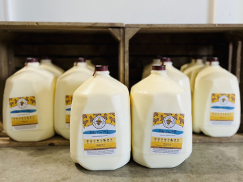 Bundle Deals: Milk - Miller's Bio Farm