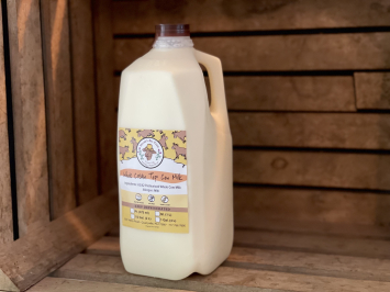 Cow Dairy - Miller's Bio Farm