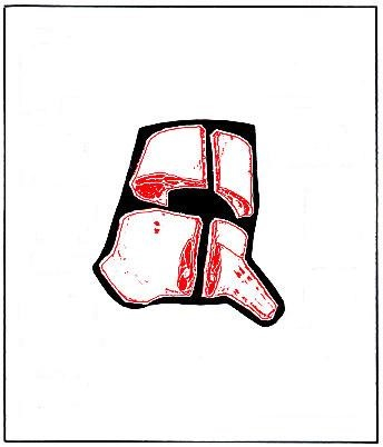 Packs - Mr. Prime Beef