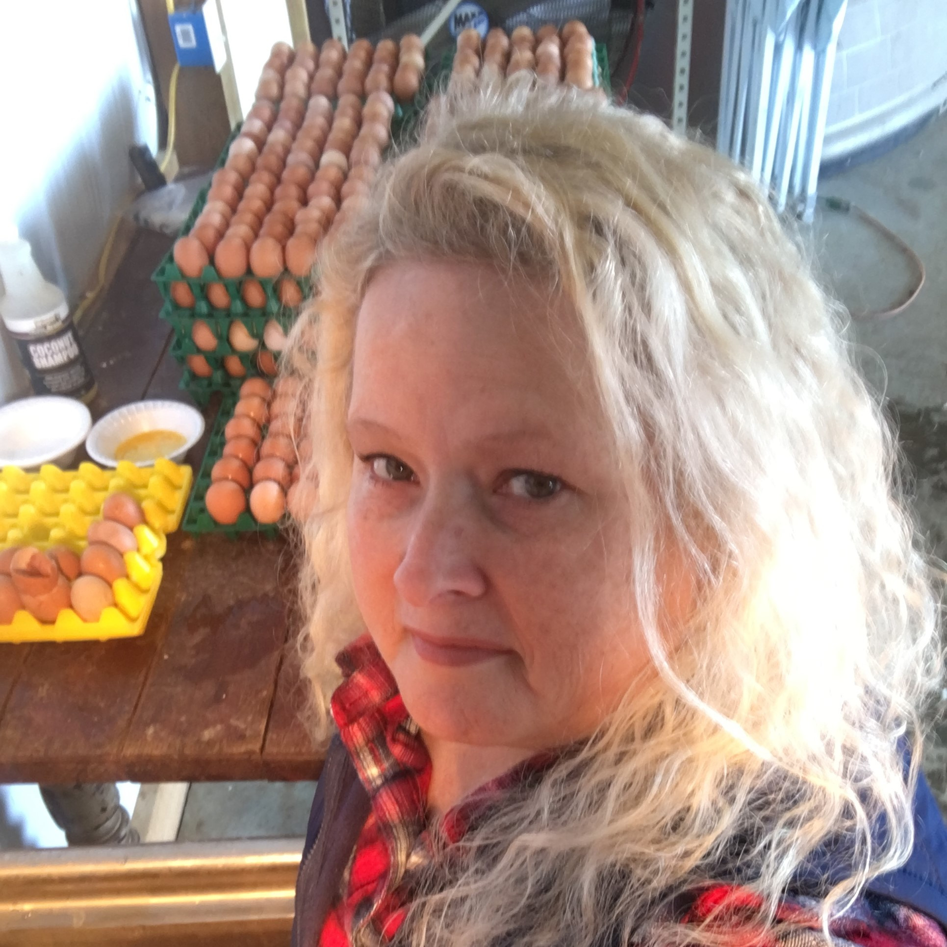 Jason Ketchum's Instagram, Twitter & Facebook on IDCrawl