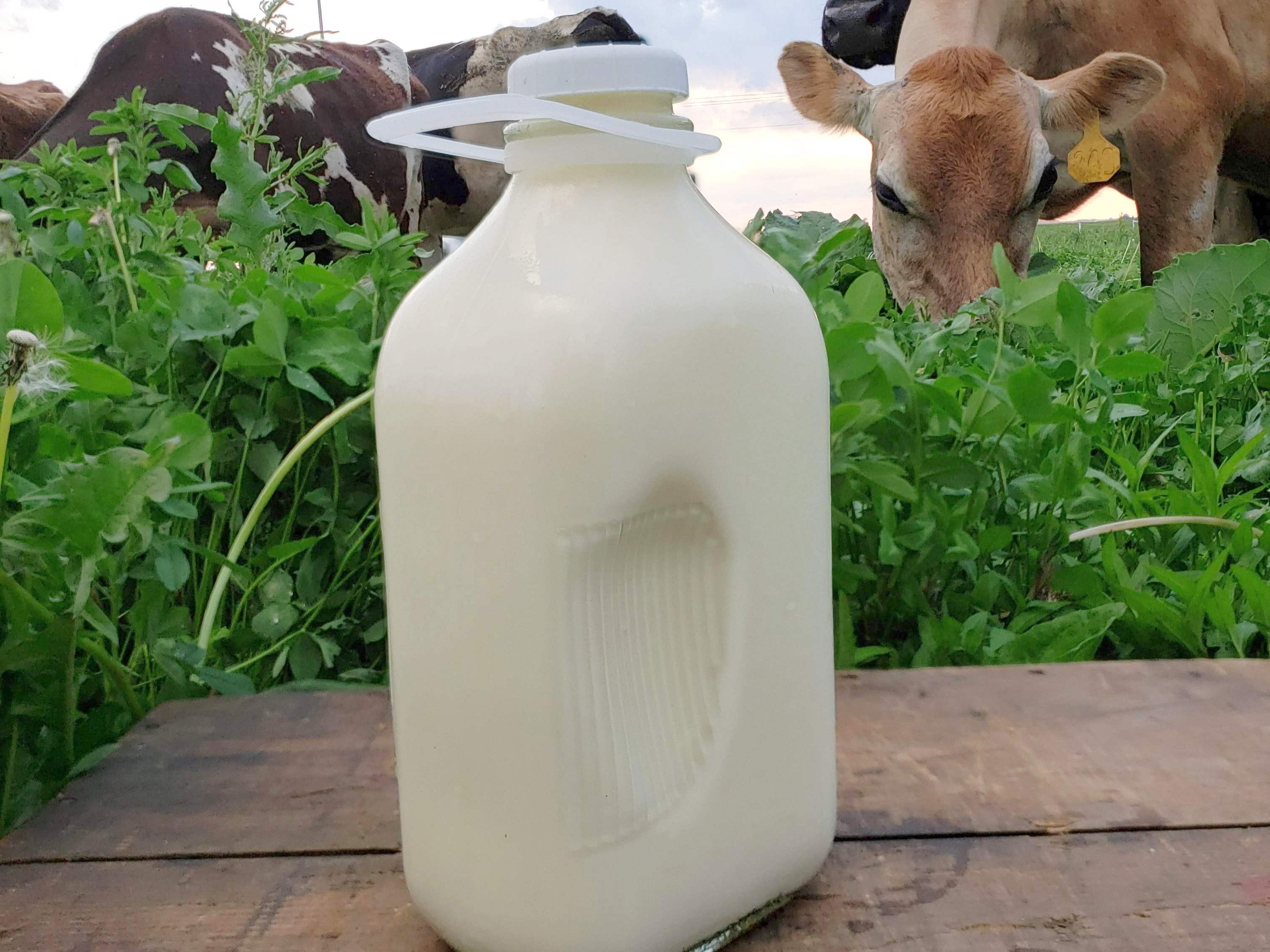 Raw Milk - Prairie Creek Pastures