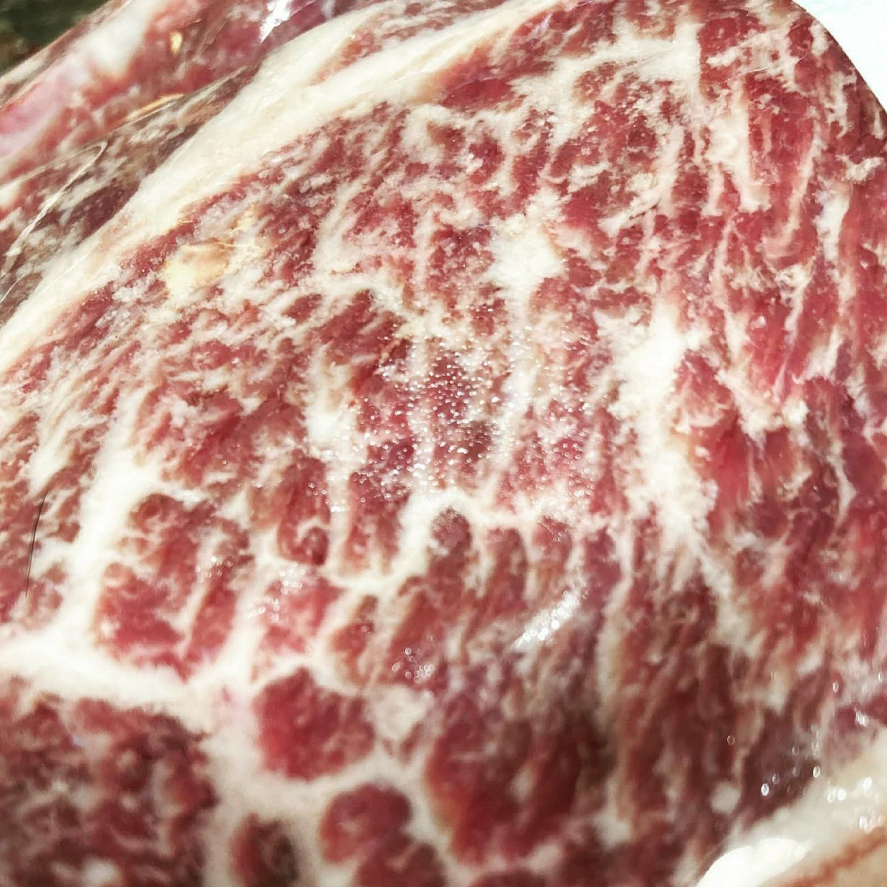 Prime Cut Wagyu Beef - Scorched Stone Farm