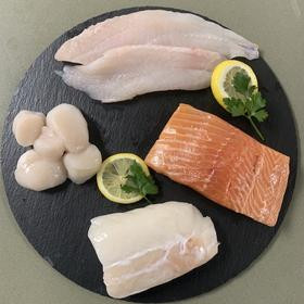 Foley Fish - Serendipity Farms