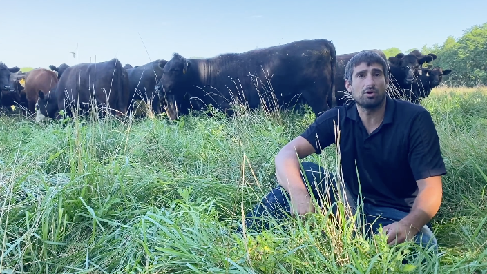 Blog - Seven Sons Farms