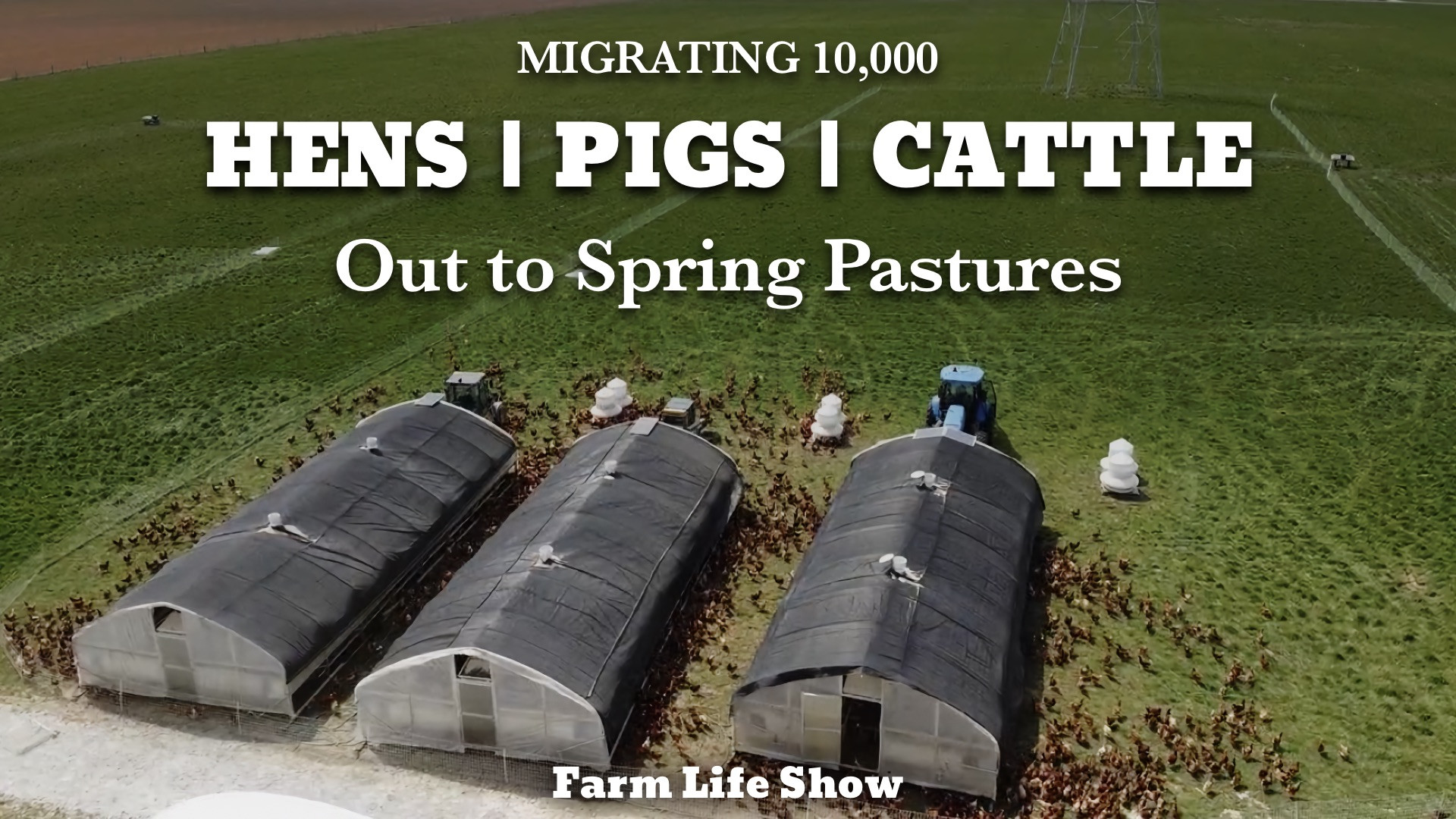 Farm Life YouTube Show - Seven Sons Farms