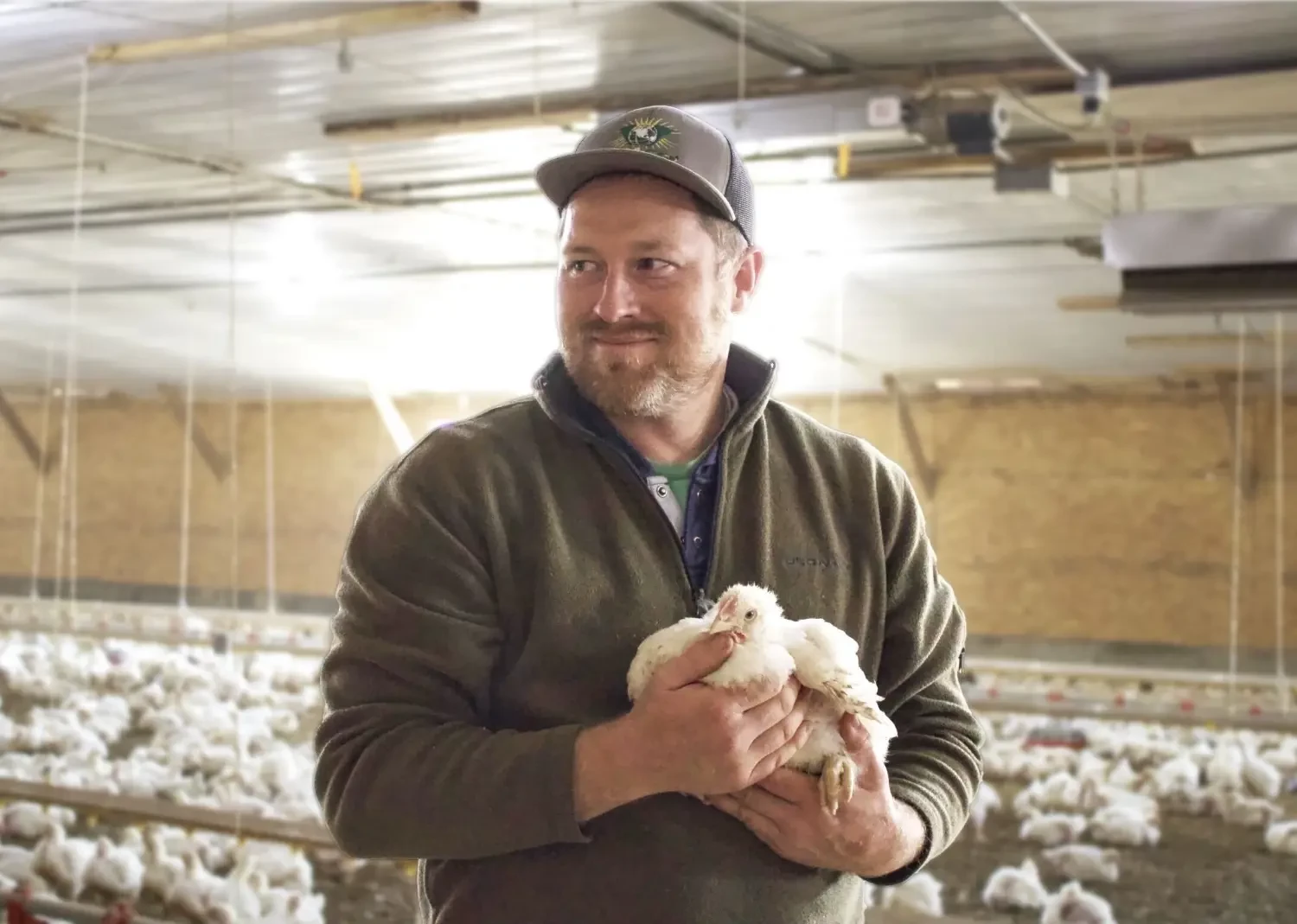 Navigating pastured poultry challenges - Seven Sons Farms