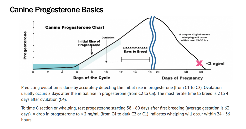 Progesterone Test For Dogs 6 Test TargetVet BioMetallics