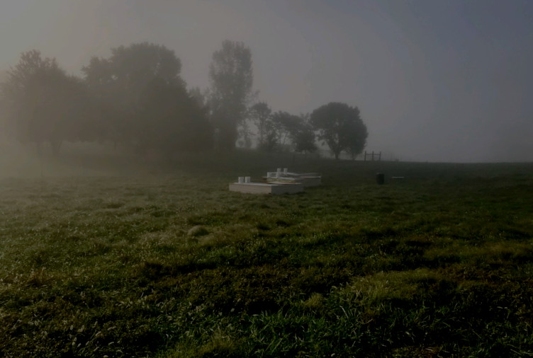 Pasture Raised Meats & Eggs - Pure Pasture Farms - Pure Pasture Farms