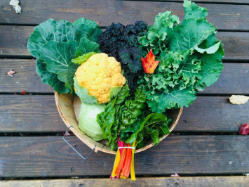 2021 CSA Program - Trombly Gardens, LLC