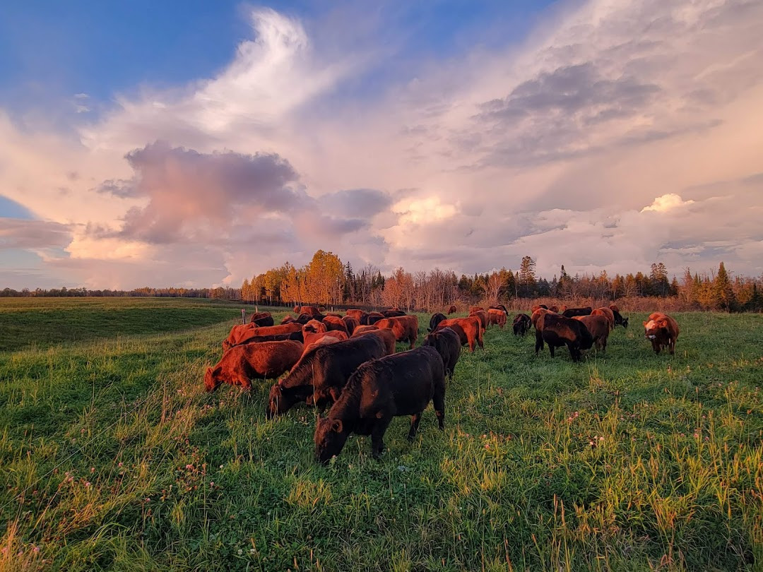 Meet Our Partners - Up North Heritage Farm