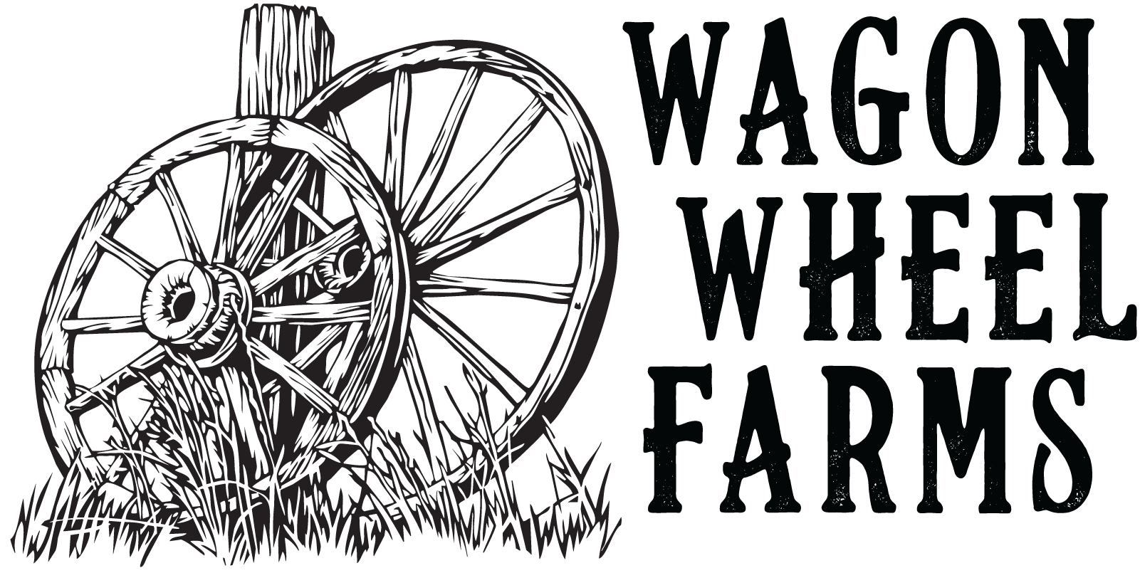 Homepage Wagon Wheel Farms