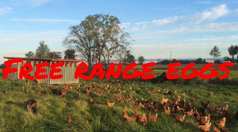 Homepage - Weber Ranch LLC