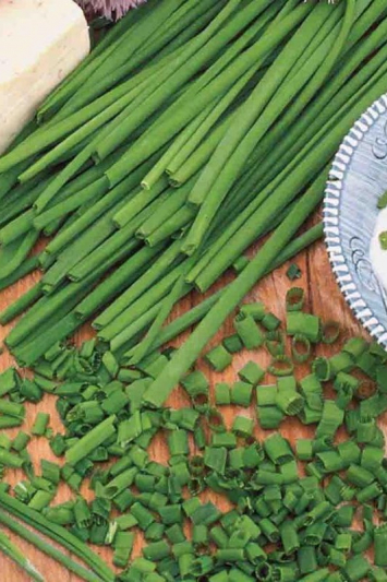 Produce - White Gate Farm