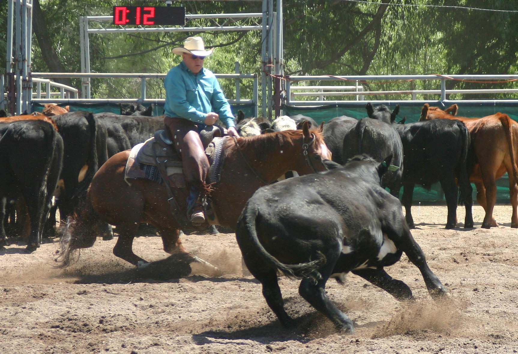 Homepage - WR Premium Beef, LLC