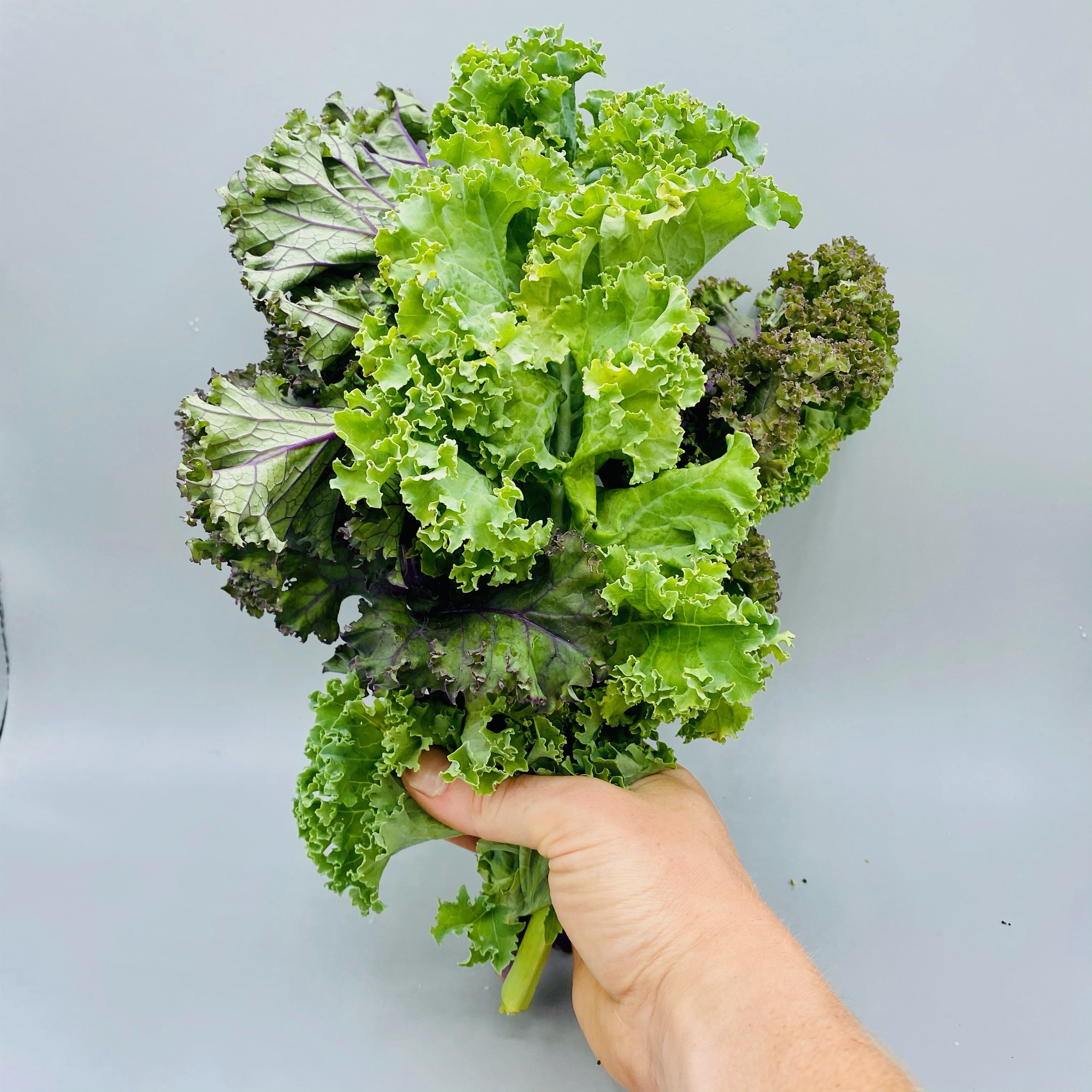 Old-School Organic Vegetables - ZOE Farms