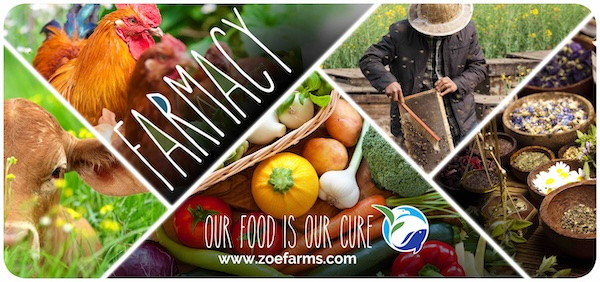 Getting Food from ZOE Farms - ZOE Farms