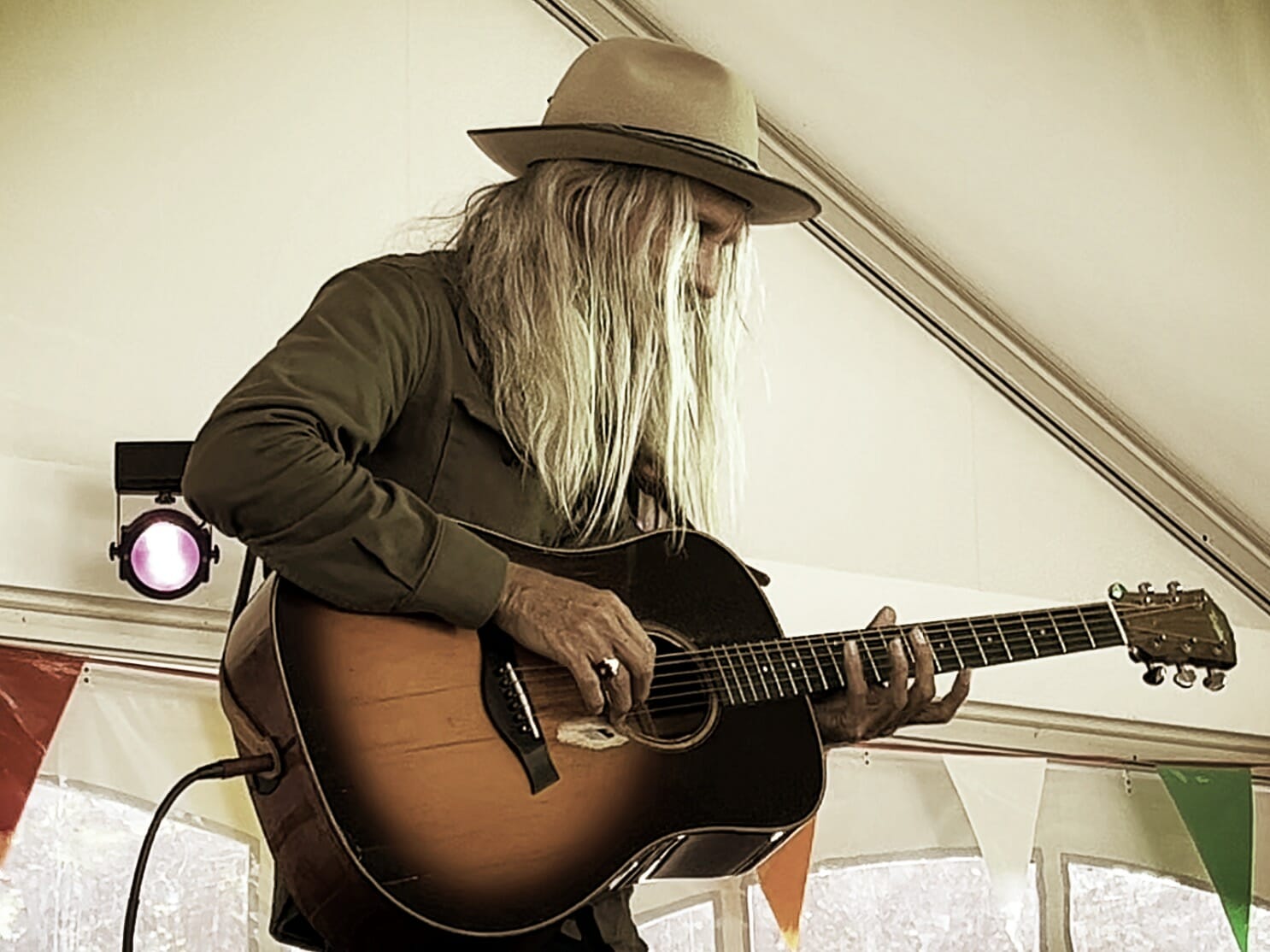 Steve Poltz: Live at Muskoka Music Festival - Great Dark Wonder