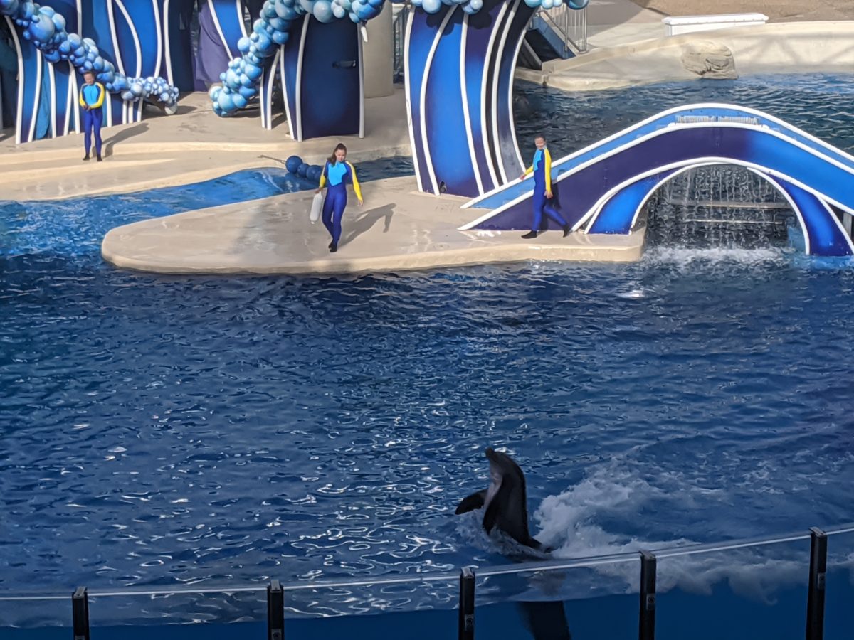 SeaWorld Orlando Reopening: 6 Tips | Green Vacation Deals