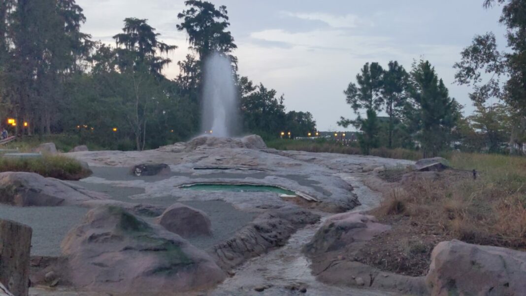 Disney World Geyser Point Bar and Grill Review | Green Vacation Deals