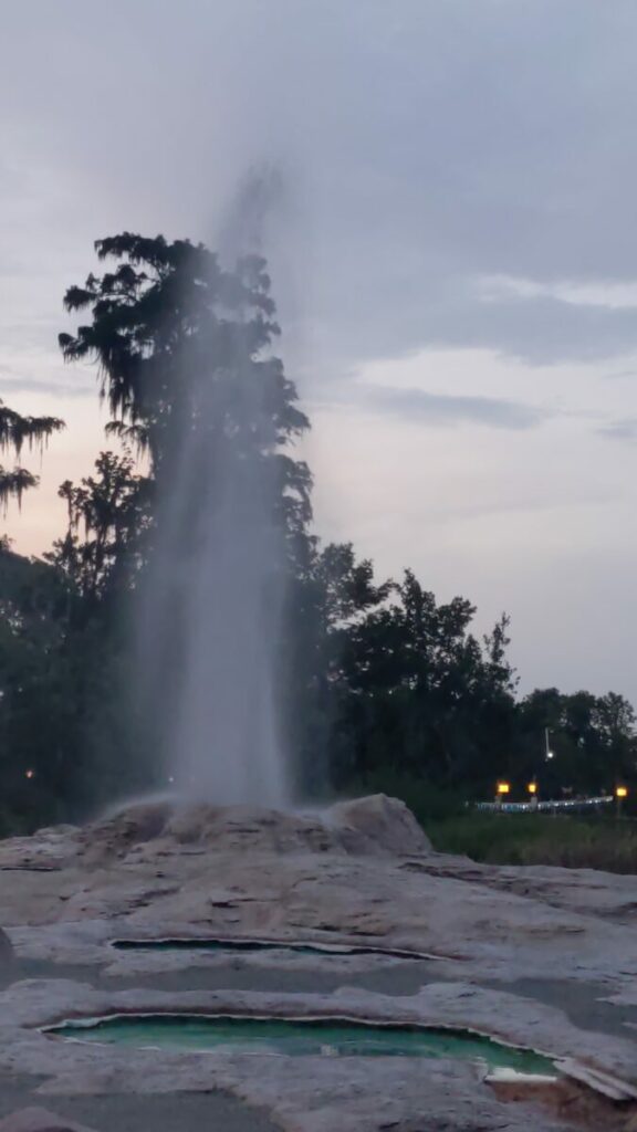 Disney World Geyser Point Bar and Grill Review | Green Vacation Deals
