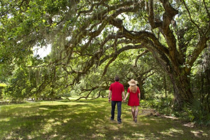 Top 12 Most Romantic Things to Do in Charleston SC | Green Vacation Deals