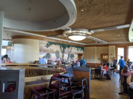 The Burger Digs Islands of Adventure Review | Green Vacation Deals