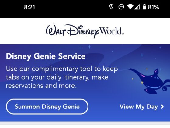 Is Disney Genie Plus Worth It? | Green Vacation Deals