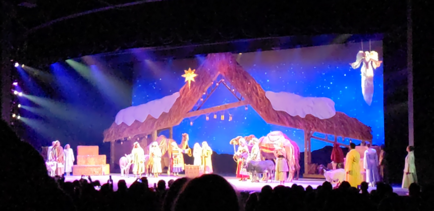 Seaworld Orlando Christmas 2022 Guide | Green Vacation Deals