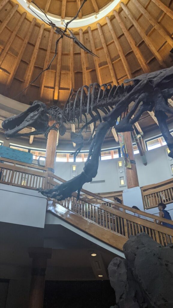 The Burger Digs Islands of Adventure Review | Green Vacation Deals