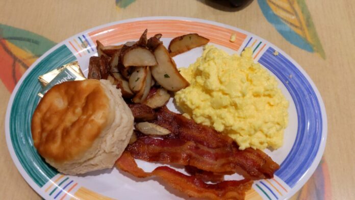 Picabu Dolphin Breakfast Review | Green Vacation Deals