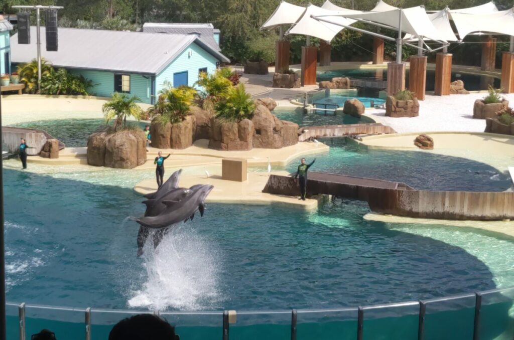 Is SeaWorld Annual Pass Worth It? | Green Vacation Deals