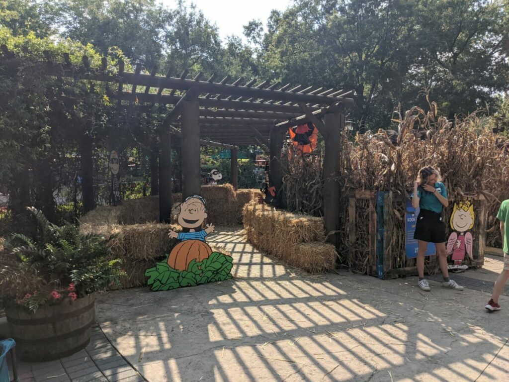 10 Tips for Carowinds Great Pumpkin Fest 2022 Event | Green Vacation Deals