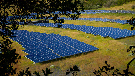 North Carolina Town Scuttles New Solar Farm - GreenBuildingAdvisor