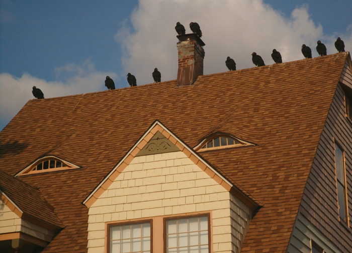 Township Building Department & Unvented Roof Assembly ...