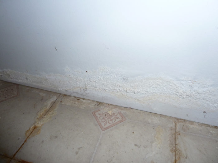 Crust issue on basement/garage drywall? - GreenBuildingAdvisor