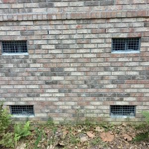 Block + brick veneer + air gap: Crawlspace encapsulation questions ...