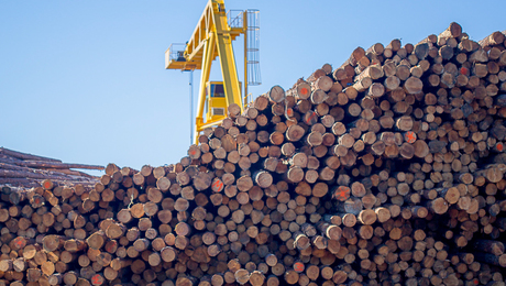 New Group Promotes "Climate-Smart" Wood - GreenBuildingAdvisor
