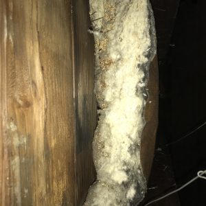 Would you reuse these old rock wool batts, or chuck them ...