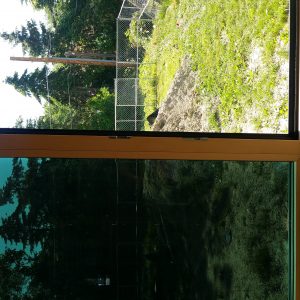 Do I want low-SHGC windows on the east and west sides ...