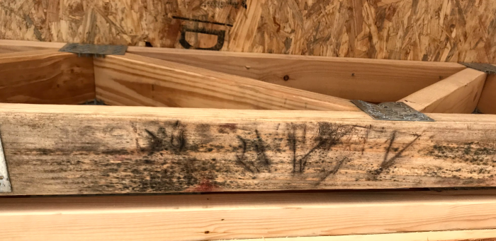 Questioning the Quality of Framing Lumber - GreenBuildingAdvisor