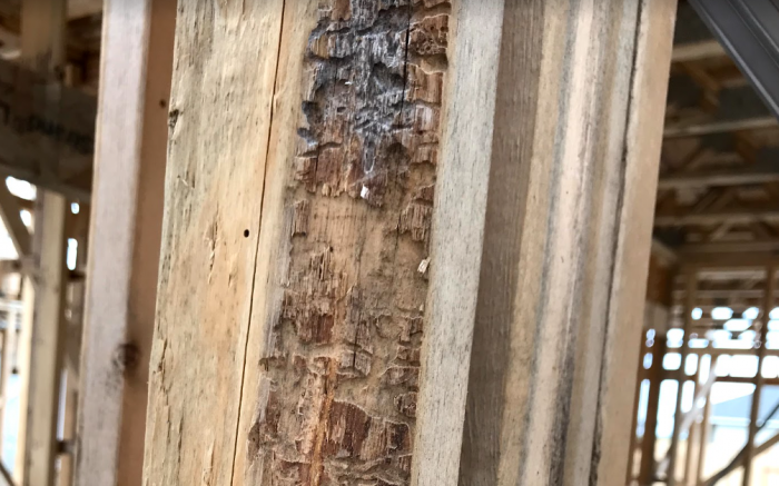 Questioning the Quality of Framing Lumber - GreenBuildingAdvisor