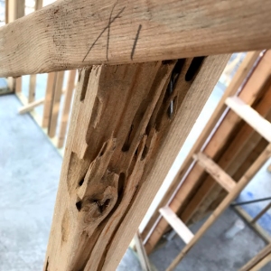 Questioning the Quality of Framing Lumber - GreenBuildingAdvisor