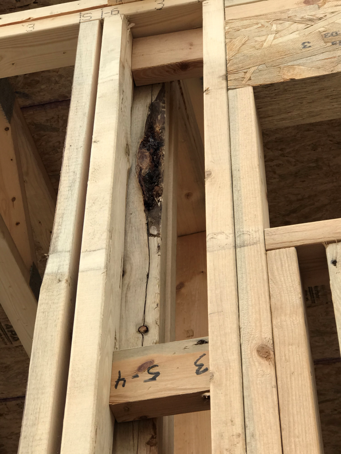 Questioning the Quality of Framing Lumber - GreenBuildingAdvisor