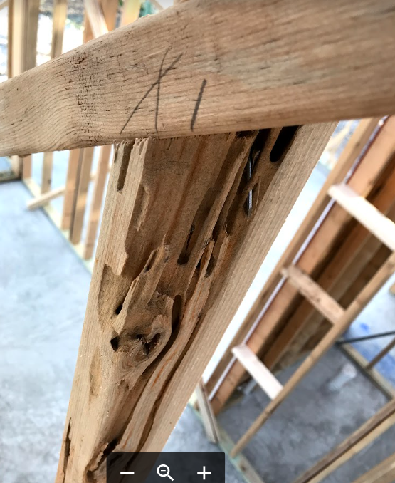 Questioning the Quality of Framing Lumber - GreenBuildingAdvisor
