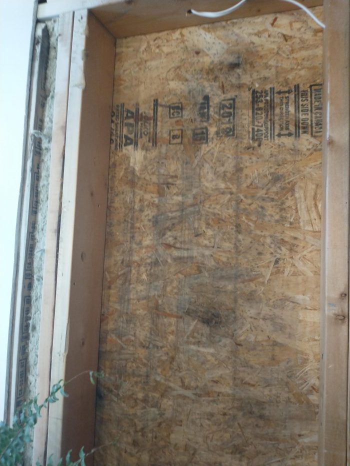 Moldy OSB Sheathing Behind Mineral Wool Batt Insulation ...
