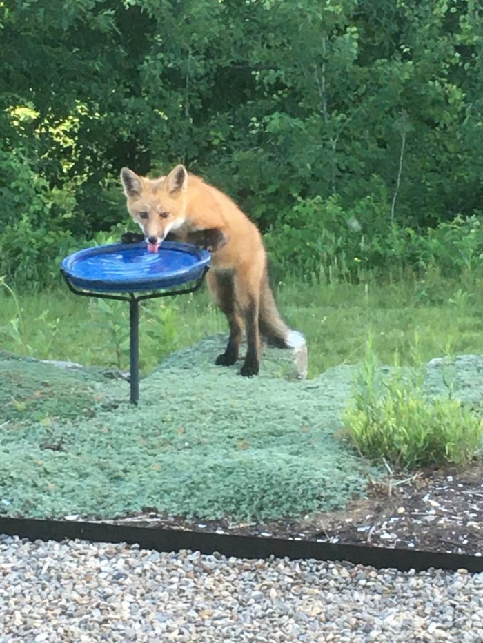 Rethinking Window Size - GreenBuildingAdvisor