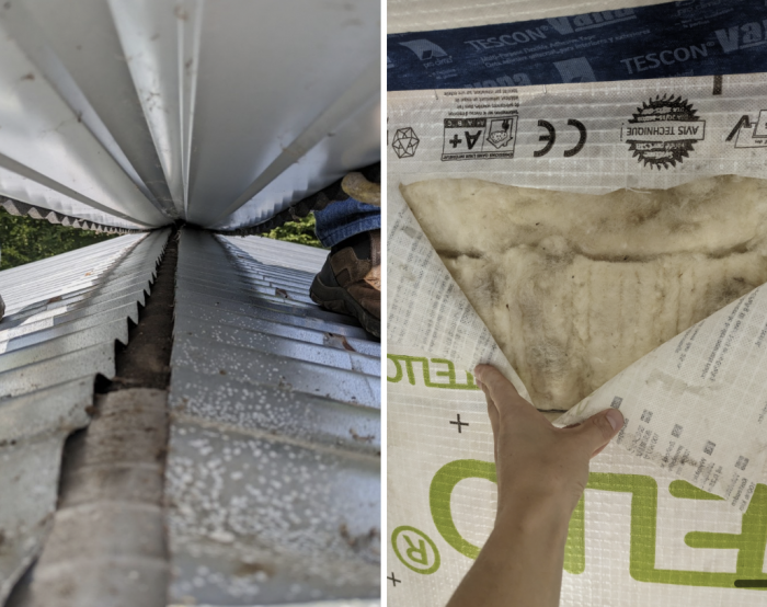 Moisture/mold behind Intello membrane in tiny house - GreenBuildingAdvisor
