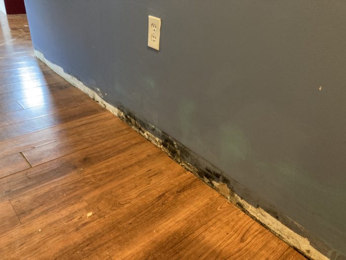 Black mold behind baseboards in basement - GreenBuildingAdvisor