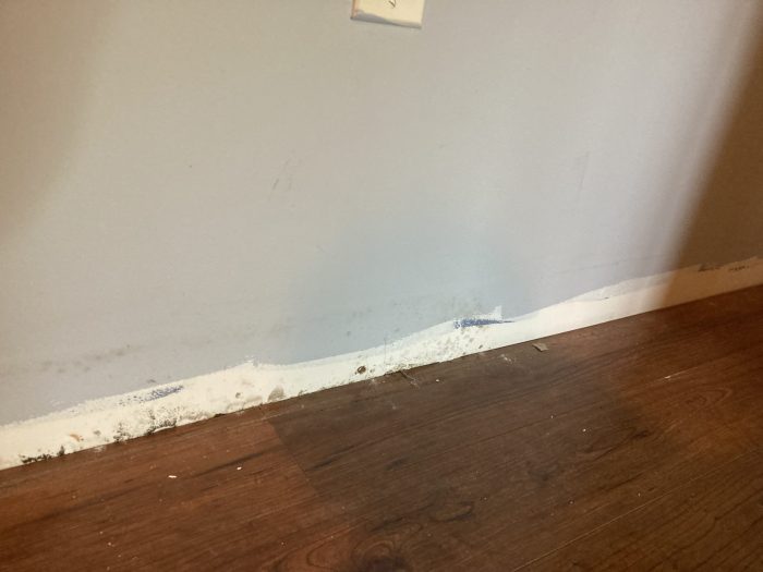 Black mold behind baseboards in basement - GreenBuildingAdvisor