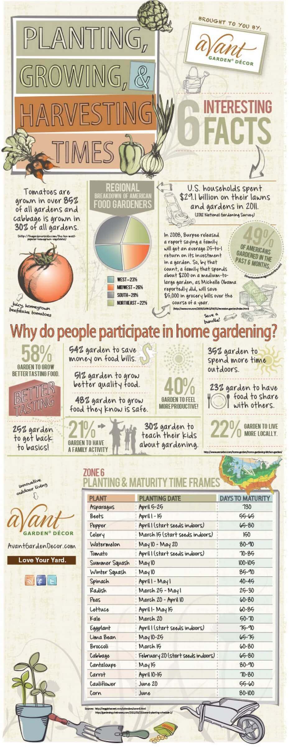 Planting, Growing and Harvesting Times for Vegetable Gardens